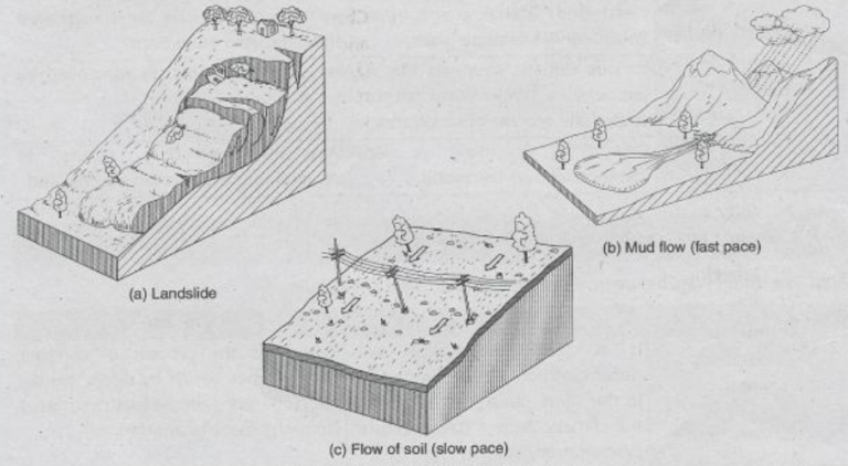 WBBSE Solutions For Class 9 Geography And Environment Chapter 5 ...
