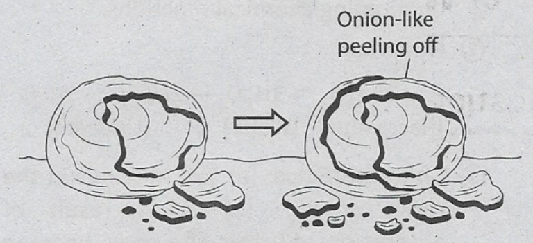 WBBSE Solutions For Class 9 Geography And Environment Chapter 5 ...