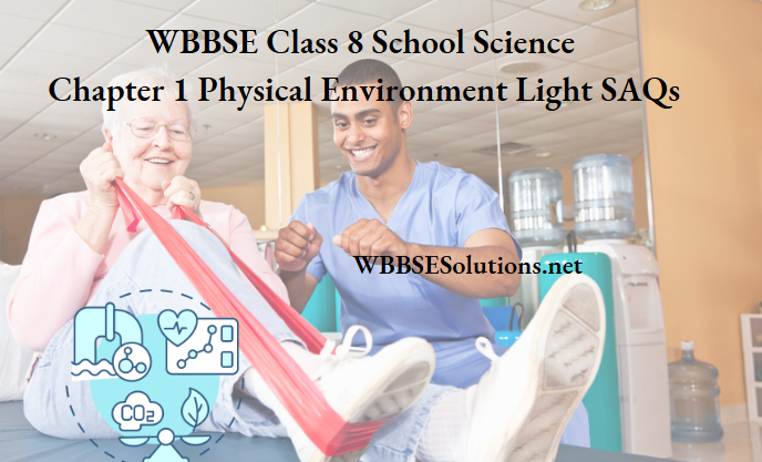 WBBSE Class 8 School Science Chapter 1 Physical Environment Light SAQs ...