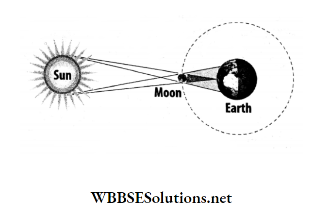 WBBSE Solutions For Class 6 Geography Chapter 1 The Sun The Stars In ...