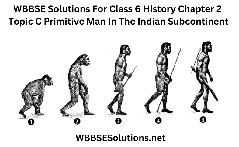 WBBSE Solutions For Class 6 History Chapter 2 Primitive Man In The ...