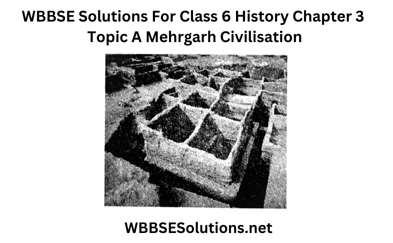 WBBSE Solutions For Class 6 History Chapter 3 Ancient History Of The ...