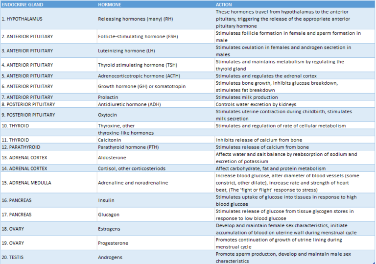 WBBSE Notes For Class 8 School Science Chapter 9 Endocrine System And ...