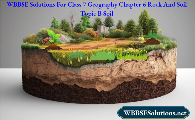 WBBSE Solutions For Class 7 Geography Chapter 6 Rock And Soil Topic B ...