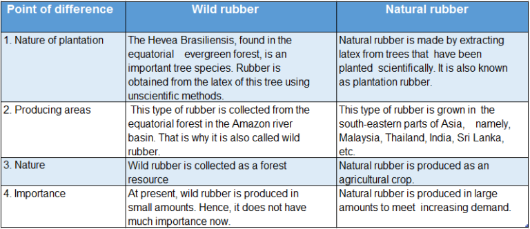 WBBSE Solutions For Class 8 Geography Chapter 10 South America Topic B ...