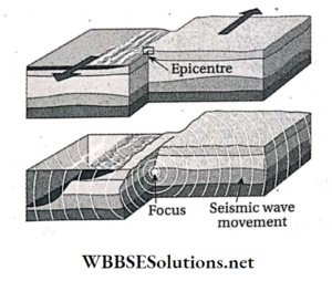 WBBSE Class 8 Geography Chapter 2 Topic C Earthquakes - WBBSE Solutions