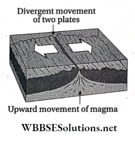 WBBSE Solutions For Class 8 Geography Chapter 2 Unstable Earth Topic A ...