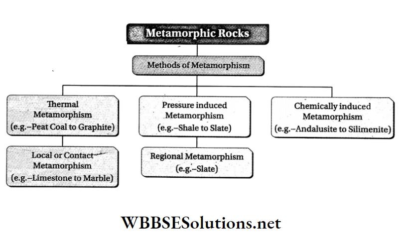 WBBSE Solutions For Class 8 Geography Chapter 3 Rocks Topic A ...