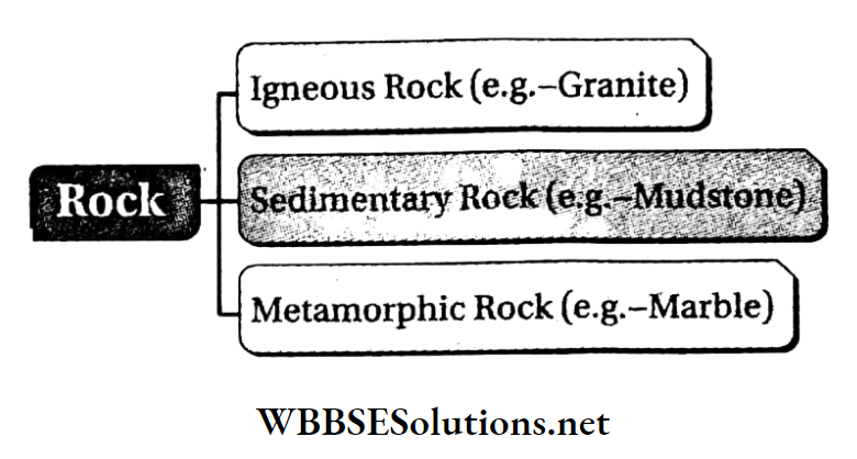 WBBSE Solutions For Class 8 Geography Chapter 3 Rocks Topic A ...