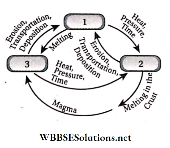 WBBSE Solutions For Class 8 Geography Chapter 3 Rocks Topic B Rock ...