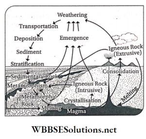 WBBSE Solutions For Class 8 Geography Chapter 3 Rocks Topic B Rock ...