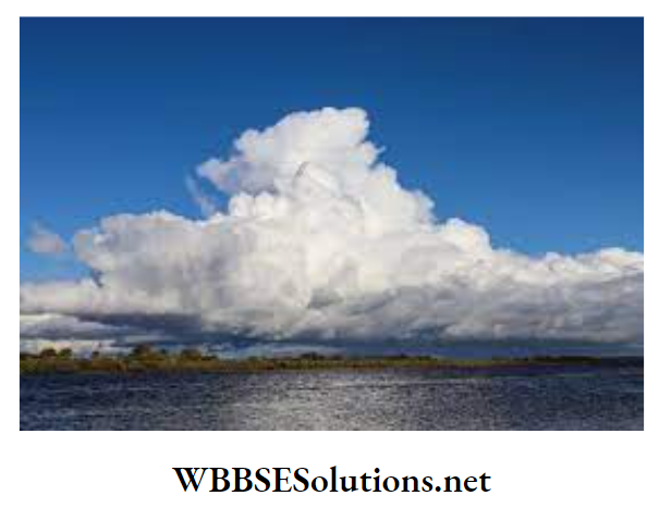 WBBSE Solutions For Class 8 Geography Chapter 5 Cloud And Rain Topic A Cloud - WBBSE Solutions