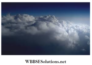 WBBSE Solutions For Class 8 Geography Chapter 5 Cloud And Rain Topic A ...
