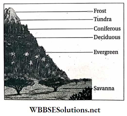 WBBSE Solutions For Class 8 Geography Chapter 6 Climatic Regions Topic ...
