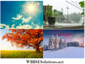 WBBSE Class 8 Geography Chapter 6 Topic A Equatorial Climatic Region ...