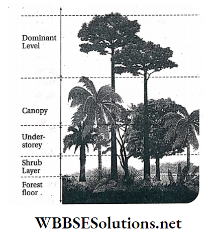 WBBSE Solutions For Class 8 Geography Chapter 6 Climatic Regions Topic ...