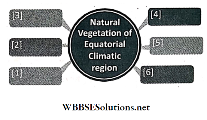 WBBSE Solutions For Class 8 Geography Chapter 6 Climatic Regions Topic ...