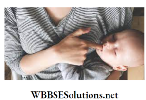 WBBSE Solutions For Class 10 Life Science And Environment Chapter 1 ...