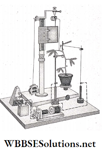 WBBSE Solutions For Class 10 Life Science And Environment Chapter 1 ...