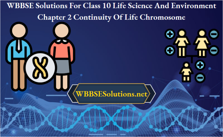 WBBSE Solutions For Class 10 Life Science And Environment Chapter 2 ...