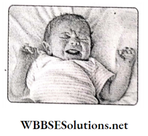 WBBSE Solutions For Class 10 Life Science And Environment Chapter 2 ...