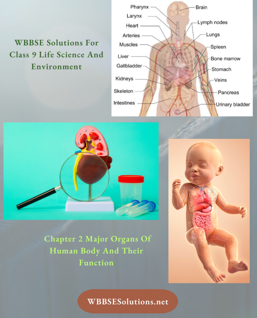 WBBSE Solutions For Class 9 Life Science And Environment Chapter 2 ...
