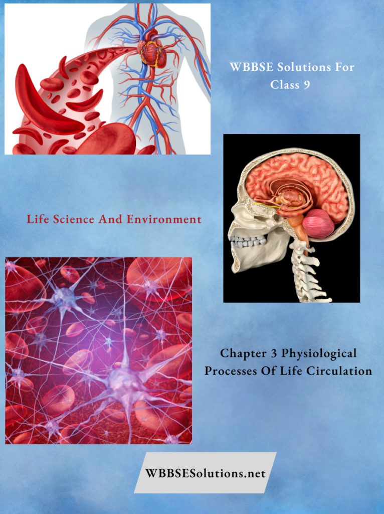 WBBSE Solutions For Class 9 Life Science And Environment Chapter 3 ...