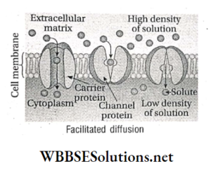 WBBSE Solutions For Class 9 Life Science And Environment Chapter 3 ...