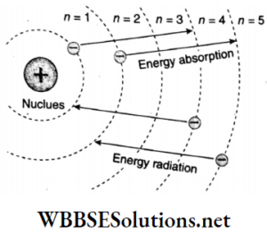 WBBSE Solutions for Class 9 Physical Science Chapter 4 Matter Bohr ...