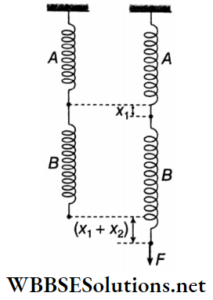Formula, Graph, Examples, Experiment Hooke's Law Of Elasticity - WBBSE ...