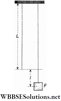 Modulus of Elasticity - Elasticity Types, Elastic Stress and Strain ...