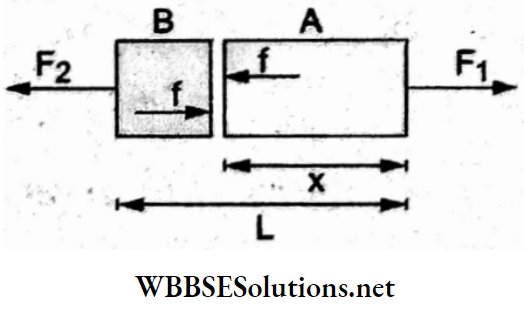 Laws of Motion Multiple Choice Question And Answers - WBBSE Solutions