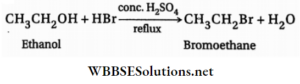 Haloalkanes Haloarenes Notes WBCHSE Class 12 Chemistry