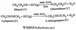 Haloalkanes Haloarenes Notes WBCHSE Class 12 Chemistry