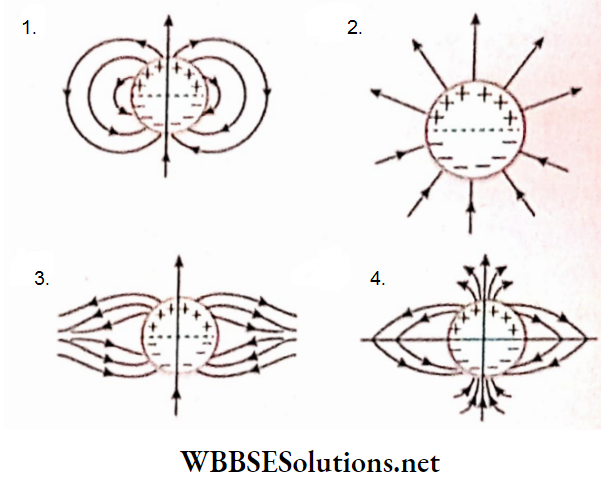 WBCHSE Class 12 Physics Electric Field Multiple Choice Question And ...