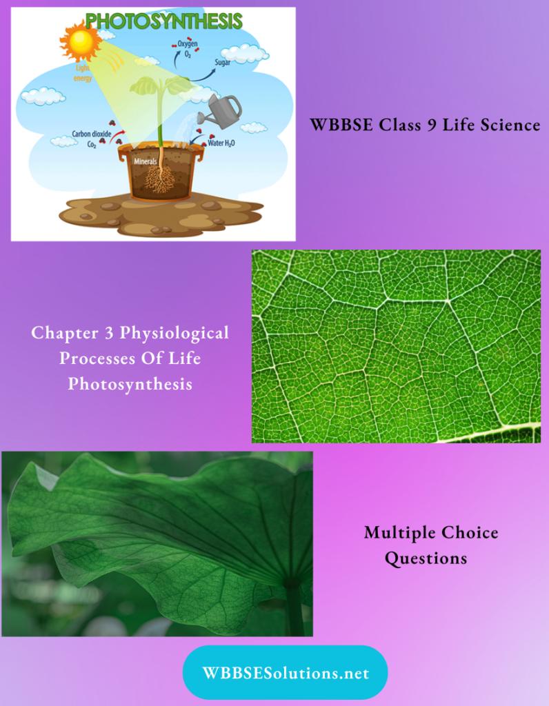 WBBSE Class 9 Life Science Chapter 3 Physiological Processes Of Life ...